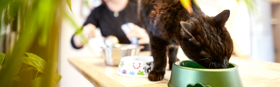 Feligen CRP | Virbac Colombia