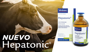 Hepatonic | Estimulante del apetito, desintoxicante digestivo y ...